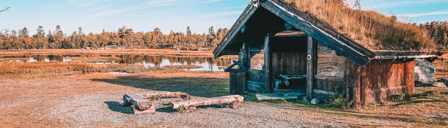 Gapahuk Gåsetjern - Langedrag