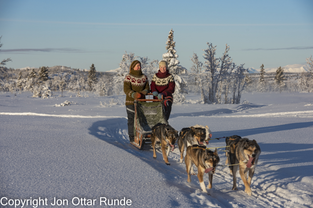 Kjør ditt eget hundespann - Langedrag