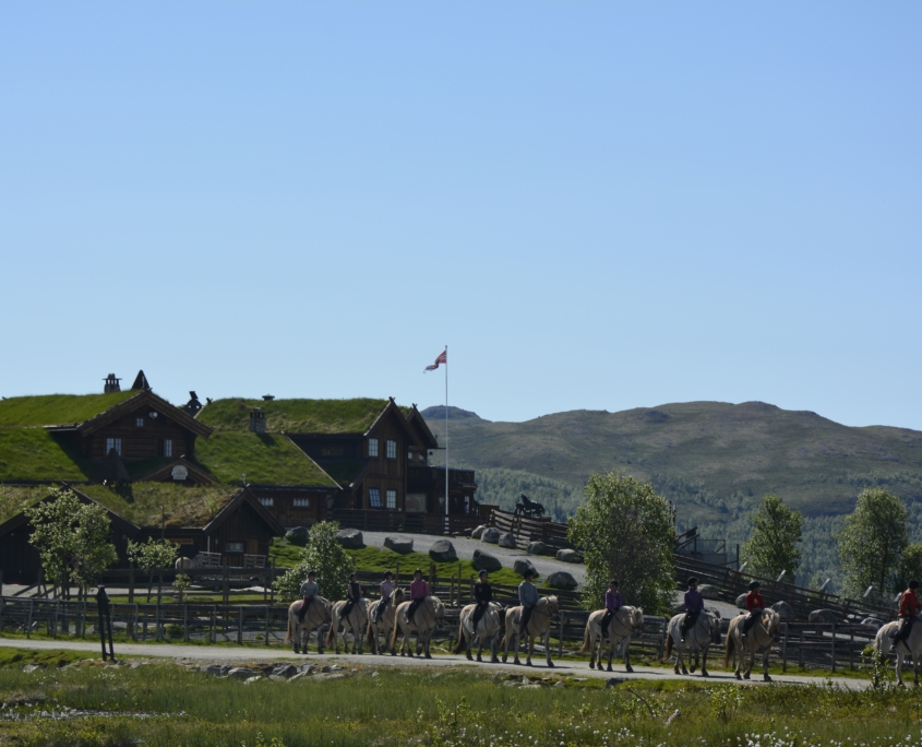 Alle nyheter - Langedrag